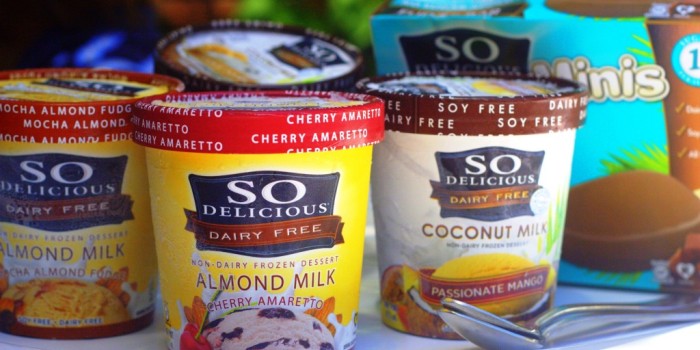 So Delicious Dairy Free Ice Cream Review Chic Vegan