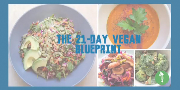 Review and Giveaway: 21- Day Vegan Blueprint - Chic Vegan