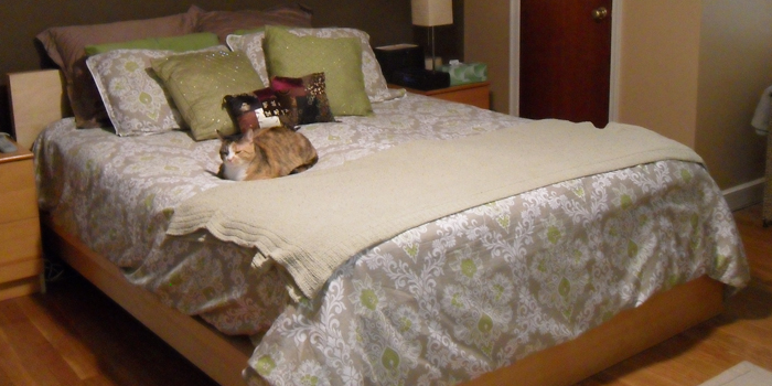 10 Tips for a Good Night's Sleep - Chic Vegan