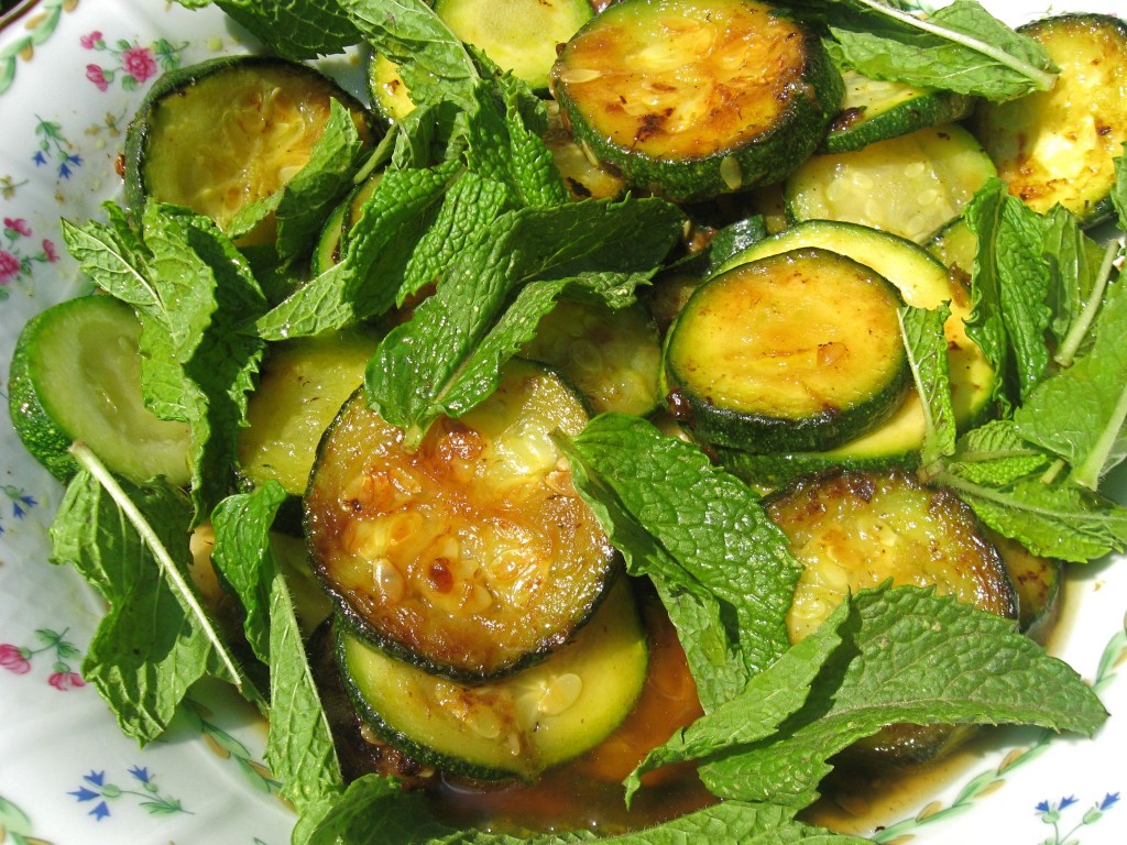 Interview Series: "Edgy Veggie" Ellen Kanner - Chic Vegan