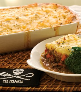 Interview Series: Laura Dakin - Chic Vegan