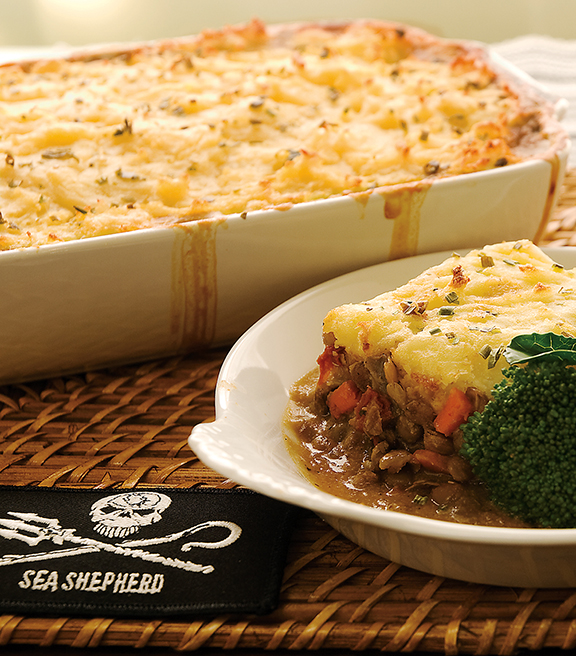 Interview Series: Laura Dakin - Chic Vegan