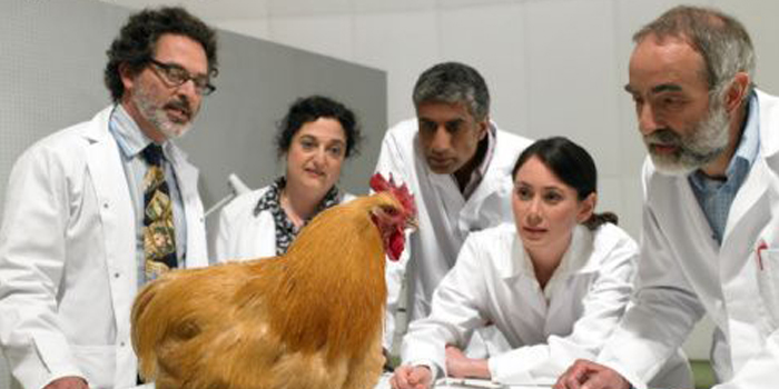 The Horrors of Using Animals for Science - Chic Vegan