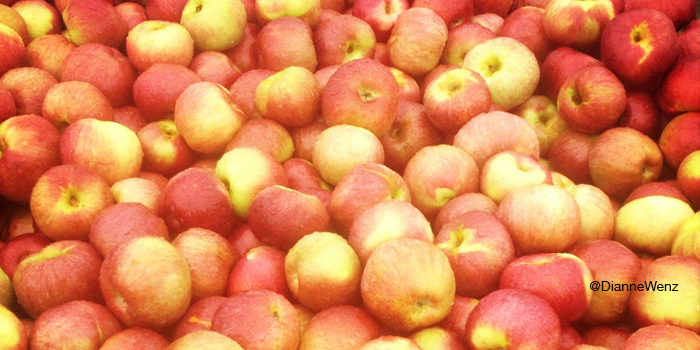 6 Reasons to Eat an Apple a Day - Chic Vegan