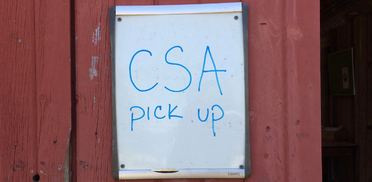 The Magic of Picking Up Your First CSA Share - Chic Vegan