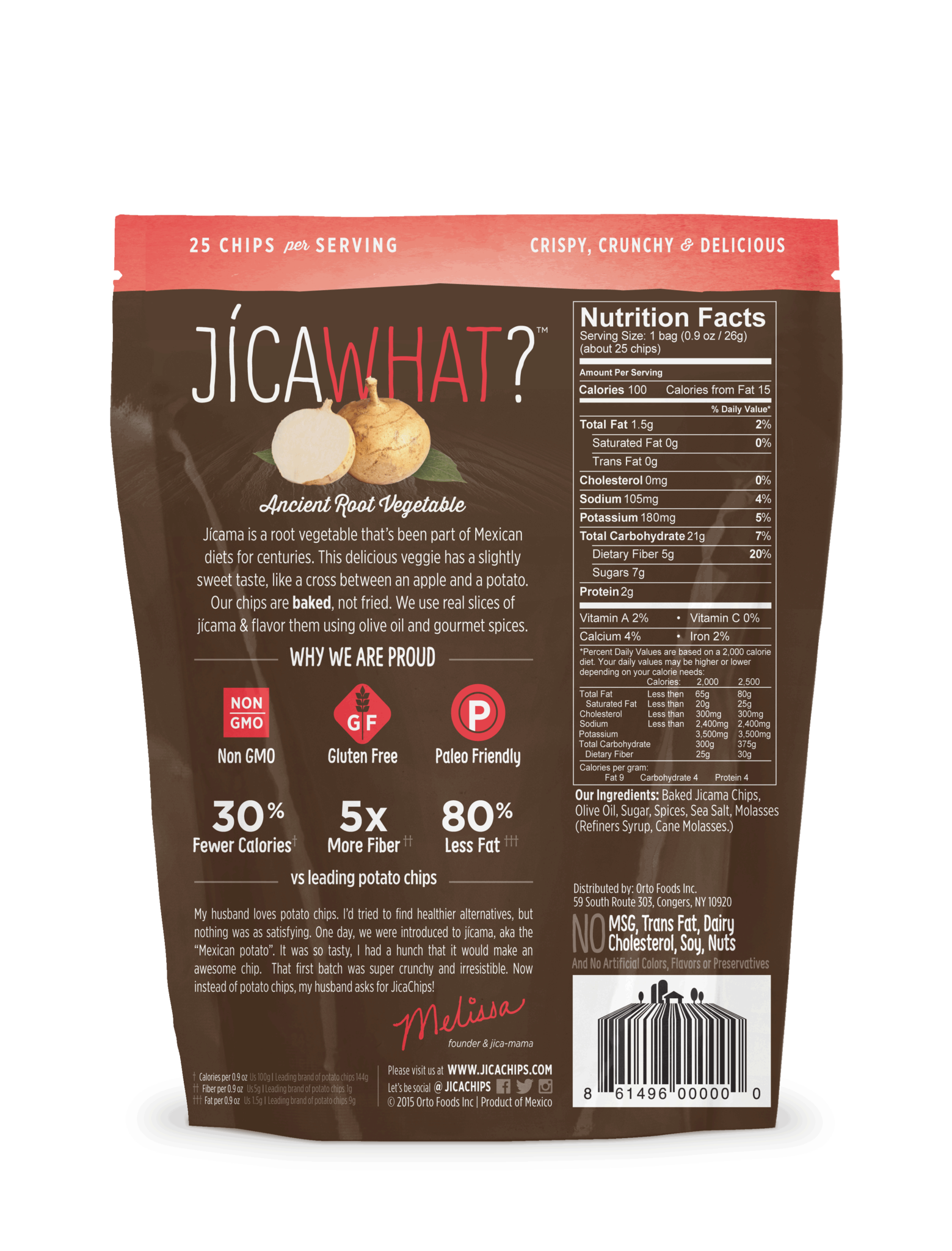 Jica_Bag_Back_SB - Chic Vegan