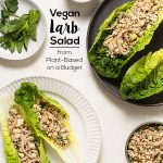 Vegan Larb Salad from Plant-Based on a Budget - Chic Vegan